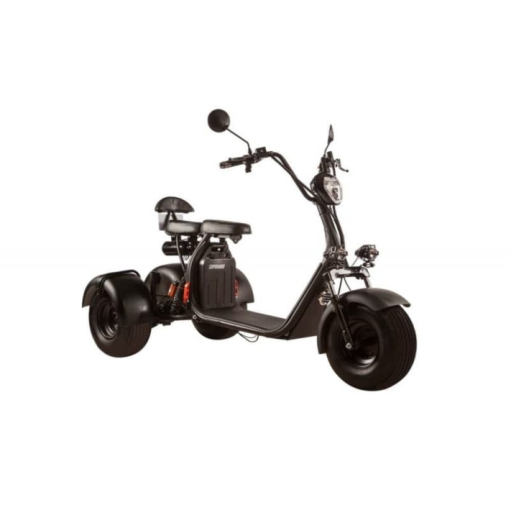 Купить электроскутер трехколесный CityCoco Trike Skyboard 1000W 20AH/60V в Пятигорске по цене ...