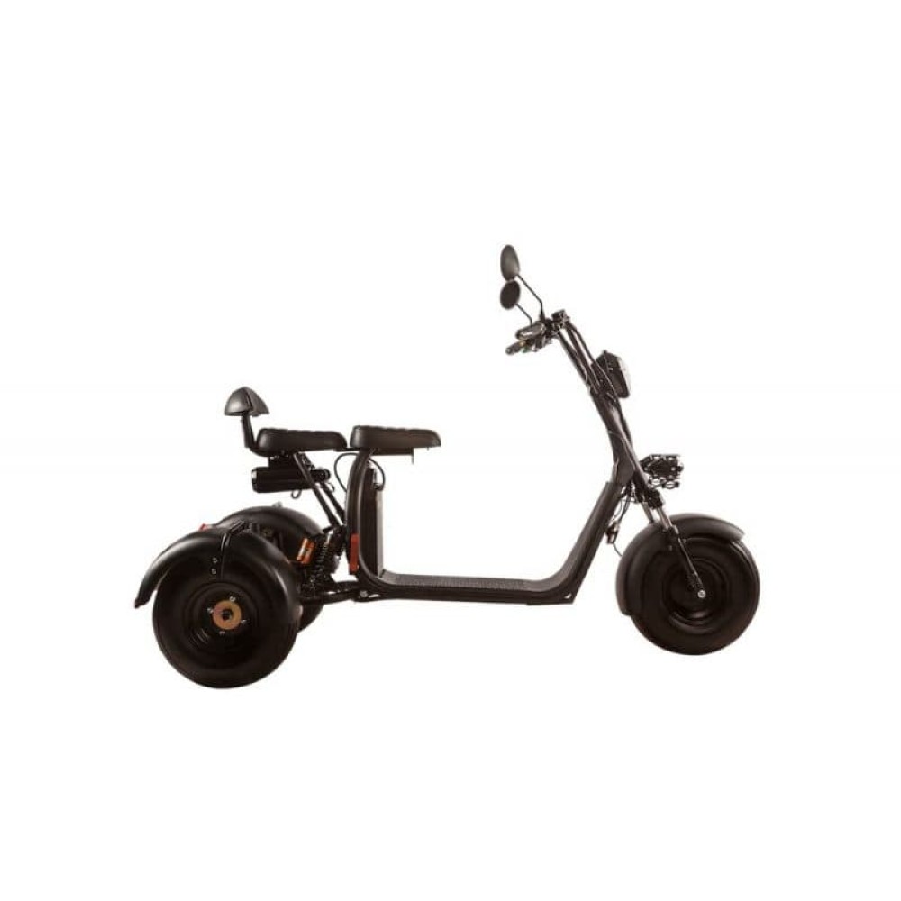 Купить электроскутер трехколесный CityCoco Trike Skyboard 1000W 20AH/60V в Пятигорске по цене ...
